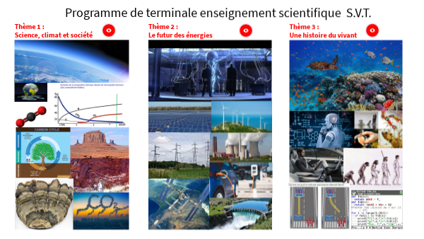 Programme Term E.S. | Genially
