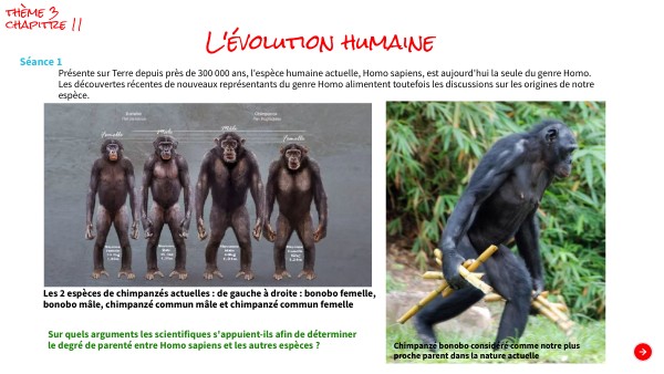 Chp 11 Evolution humaine | Genially