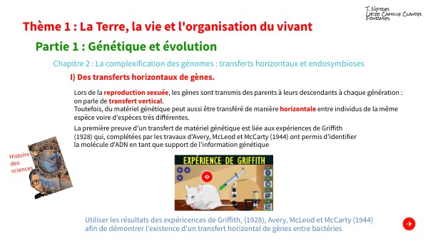 Chp 2 Complexification des génomes | Genially