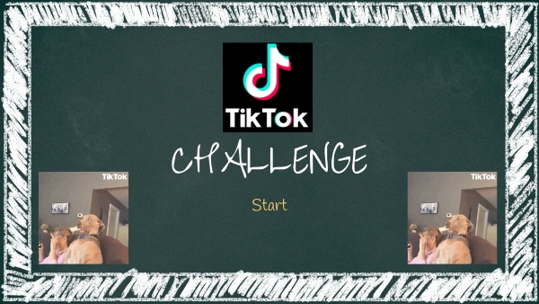 TIKTOK CHALLENGE
