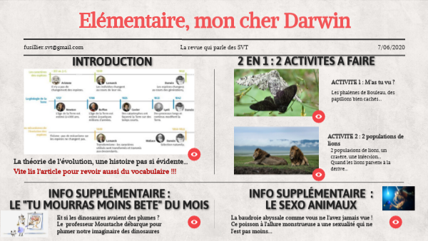 Evolution | Genially