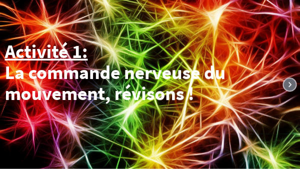 act 1 3ème système nerveux | Genially