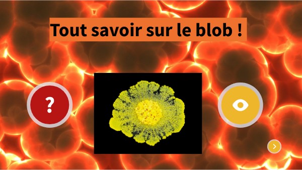 Tout savoir sur le blob ! 6ème | Genially