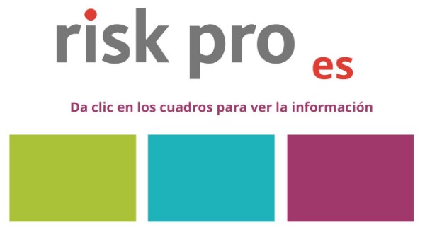 risk pro 1