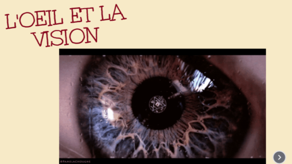 L'œil et la vision | Genially