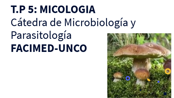 TP5 MICOLOGIA | Genially