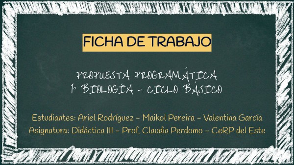 Ficha de Trabajo N°1 - Didáctica - Propuesta programática 1° CB | Genially