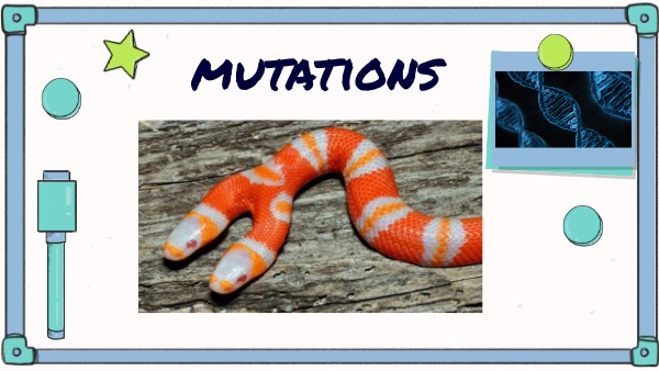 MUTATIONS | Genially