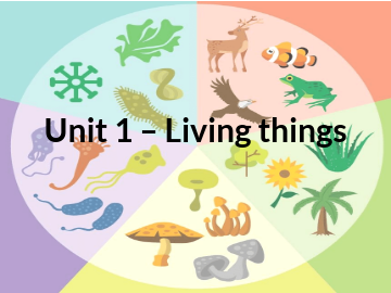 U1 – Living things TEACHER | Genially