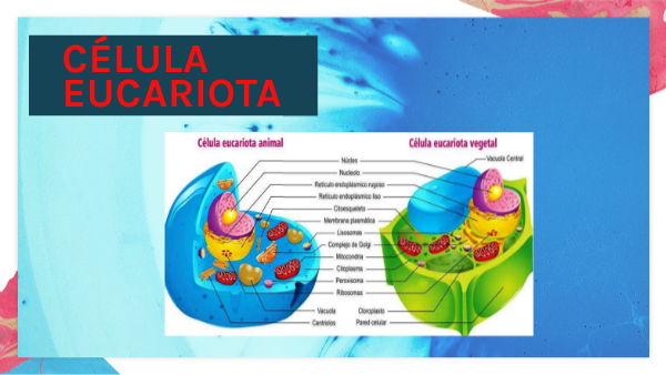 CÉLULA EUCARIOTA | Genially