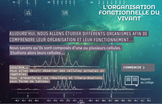 Organisation fonctionnelle du vivant 2nde (simplifié) | Genially