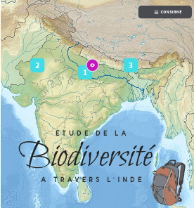 Etude de la biodiversité à travers l'inde par Mme Magnez