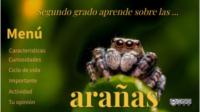 Las arañas | Genially