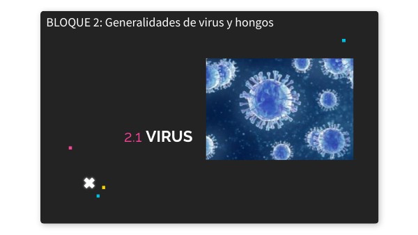 Bloque 1- Virus | Genially