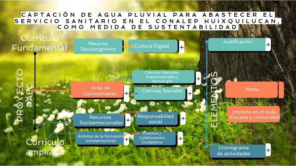 PROYECTO PAEC | Genially