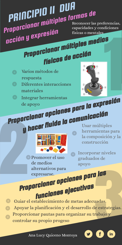 Principio II DUA | Genially