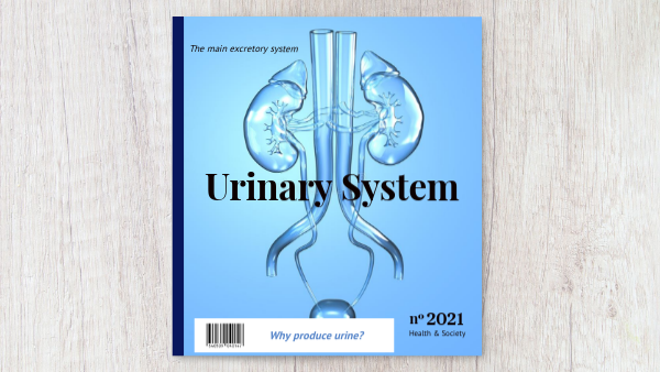 Urinary System 2021 | Genially