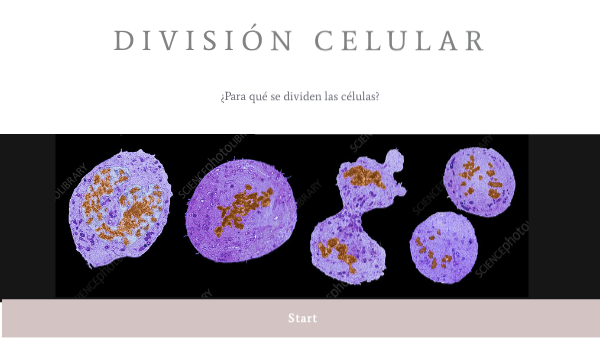 1.6. División celular | Genially