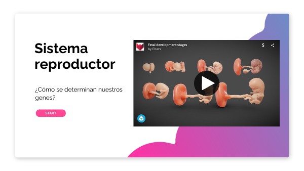 Sistema reproductor | Genially
