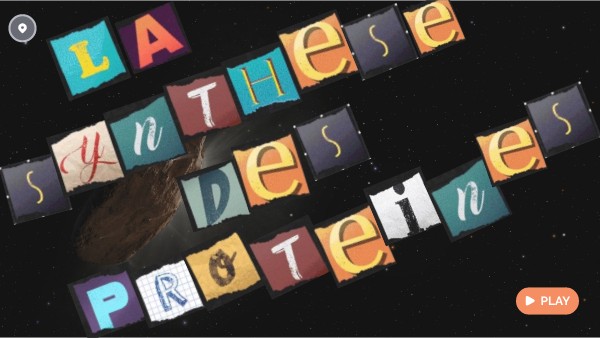 SYNTHESE DES PROTEINES | Genially