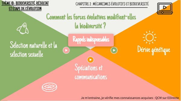 T1B chap 2 : 2nd GT | Genially