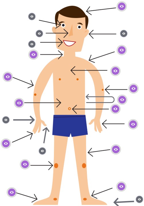 PARTS OF THE BODY | Genially