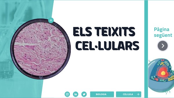 Biologia: Els teixits | Genially