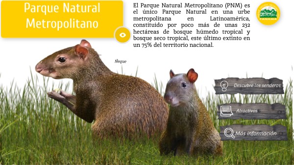 Parque Natural Metropolitano | Genially