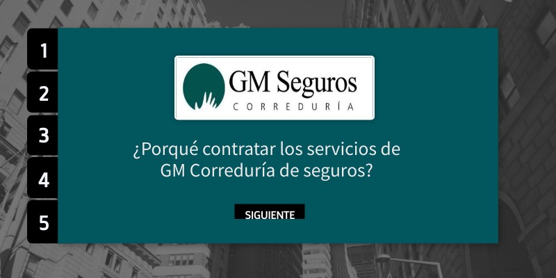 GM SEGUROS