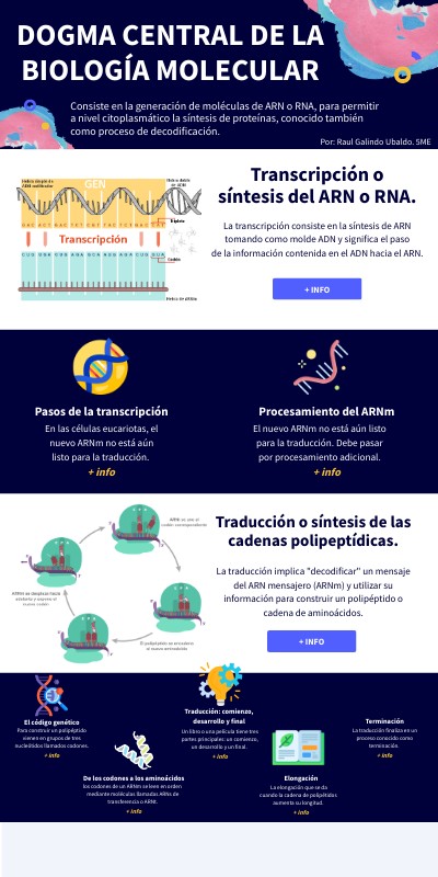 Infografía del dogma central de la biología molecular. | Genially