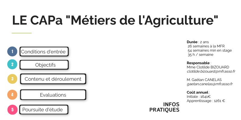 DL LES CAP | Genially