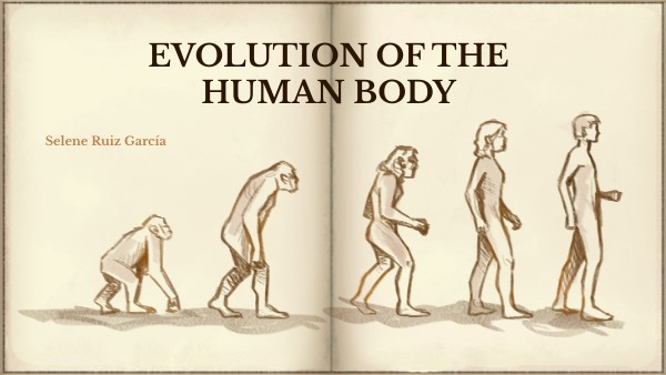 Evolution of the human body | Genially