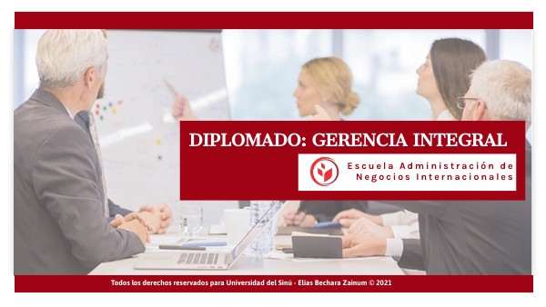 DIPLOMADO GERENCIA INTEGRAL