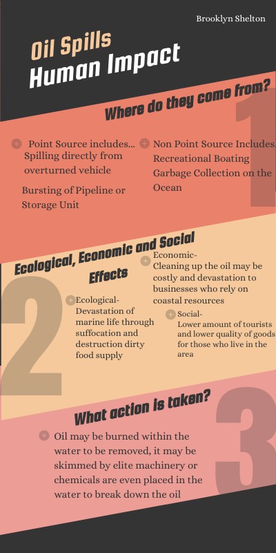 OIL SPILLS BROOKLYN SHELTON