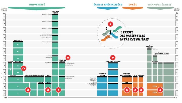 Exercice formaiton post bac | Genially