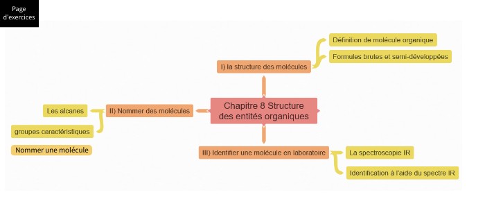 Chapitre 8 1ere spécialité structure des entités organiques