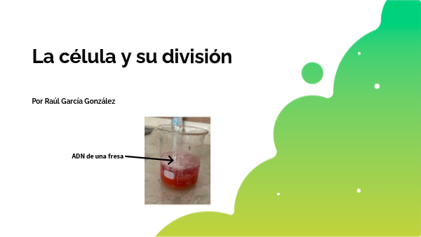 La célula y su división | Genially