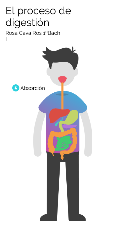 El proceso de digestión | Genially