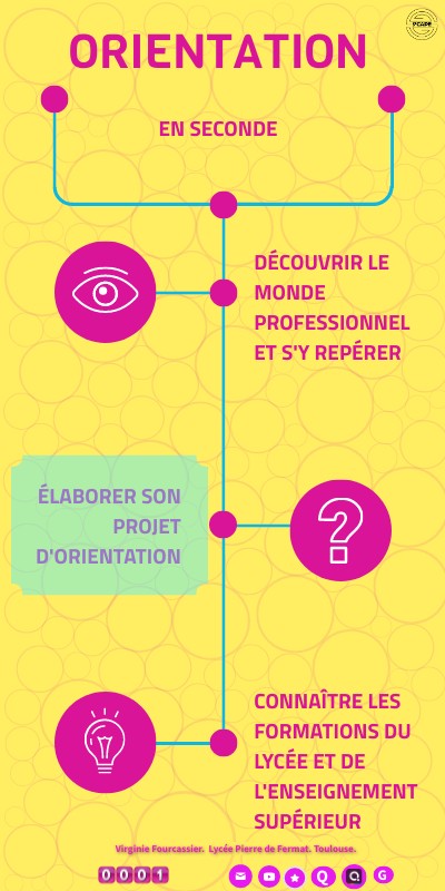 AP Orientation Oral présentation du projet d'orientation | Genially