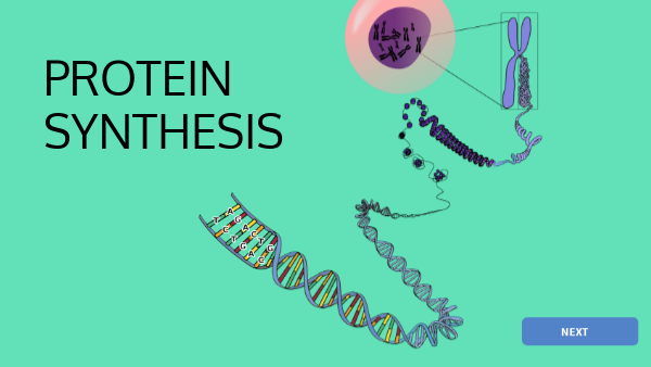 Protein Synthesis Scenario | Genially
