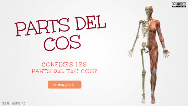 REPÀS PARTS DEL COS | Genially