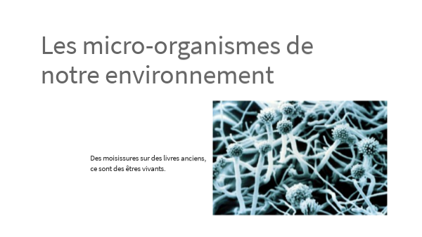 Les micro-organismes