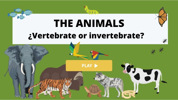 VERTEBRATE OR INVERTEBRATE