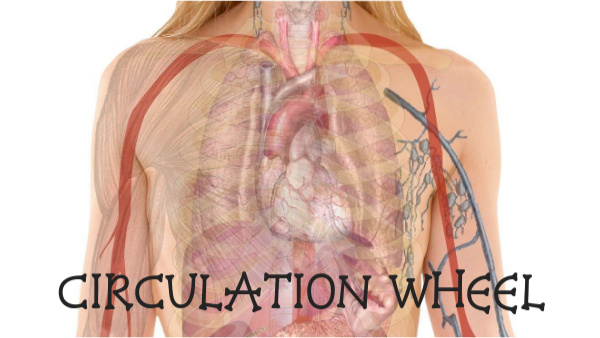 Circulation wheel | Genially
