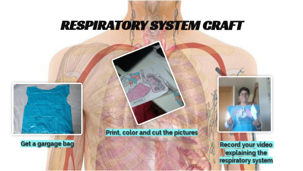 chest vest | Genially