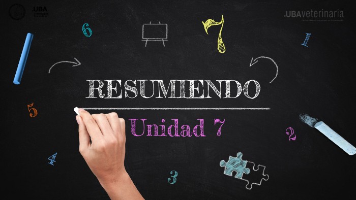 Resumiendo - U7