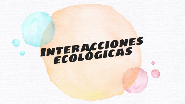 intereco