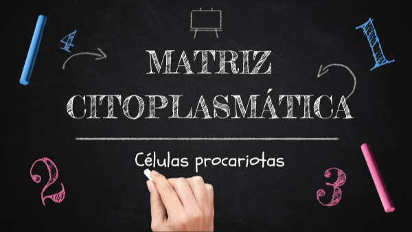 MATRIZ CITOPLASMÁTICA