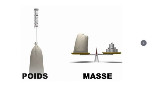 Poids/masse | Genially