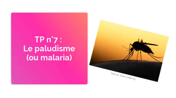 2nde - Ch.3 - TP7 | Genially